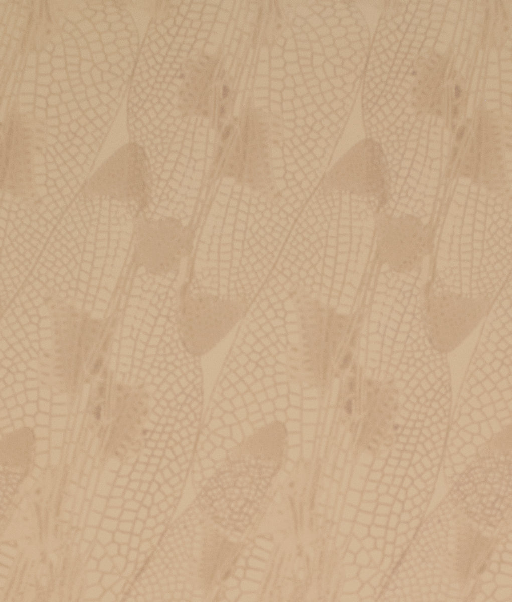 Dragonfly – Studio Printworks